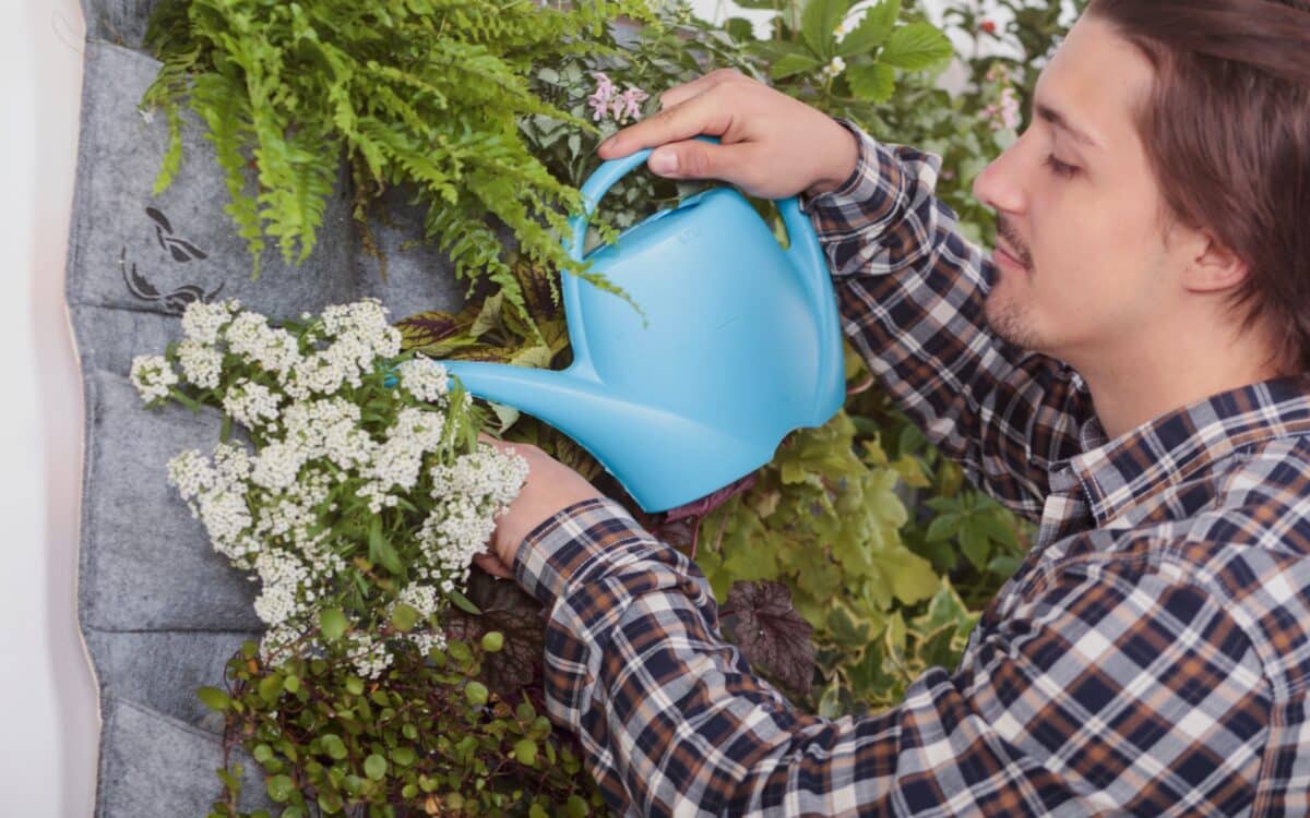 Envie de verdure chez vous ? Optez pour un jardin vertical d'intérieur